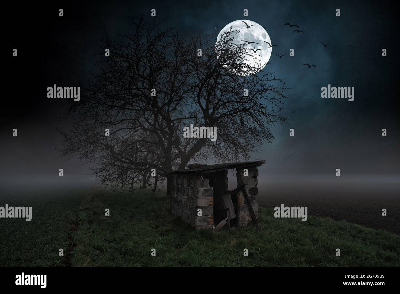 Dead tree behind an abandoned barn on a full moon in the night sky ...