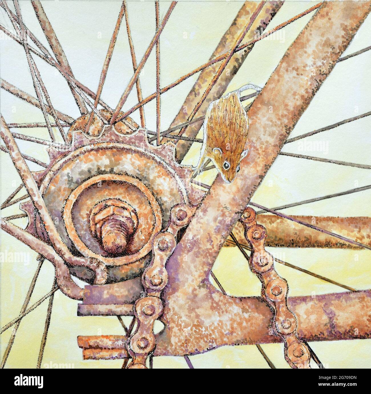 Rat Bike High Resolution Stock Photography and Images - Alamy