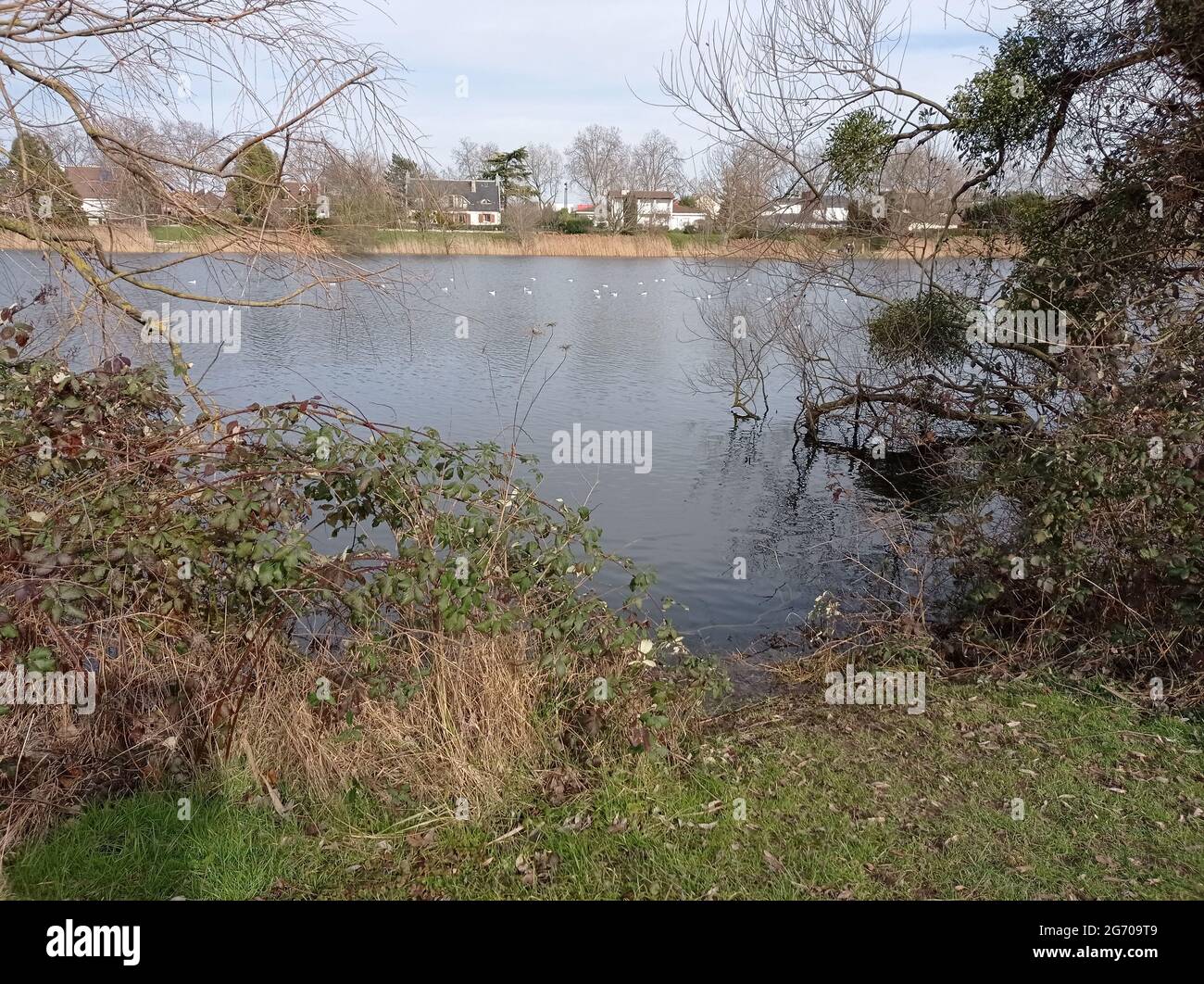 Les Lacs de l'Essonne. Essonne. 91. France Stock Photo - Alamy