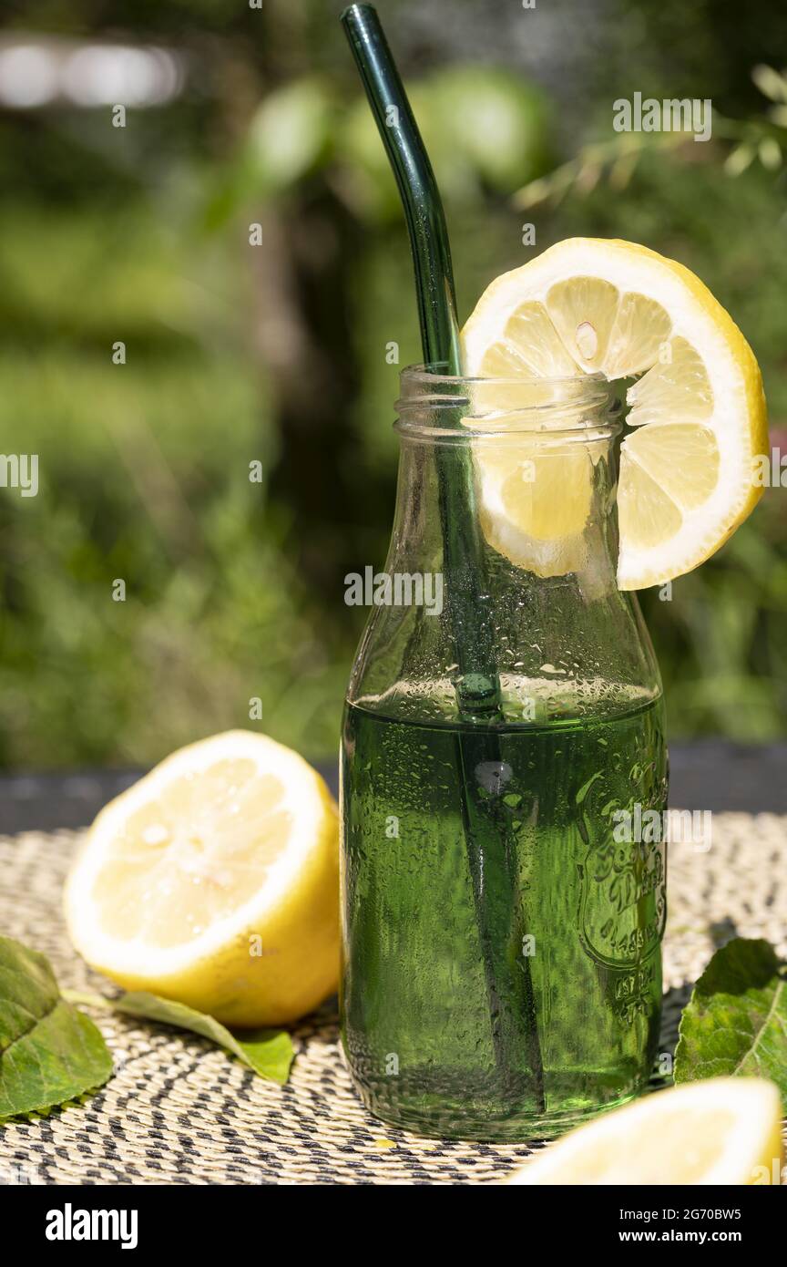 Vertical shot of refreshing chlorophyll drink mixed with lemon and mint ...