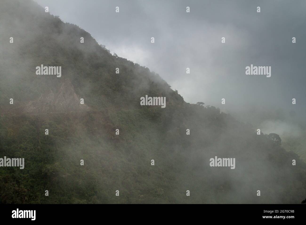 Misty jungle in mountains under Abra Malaga pass, Peru Stock Photo - Alamy