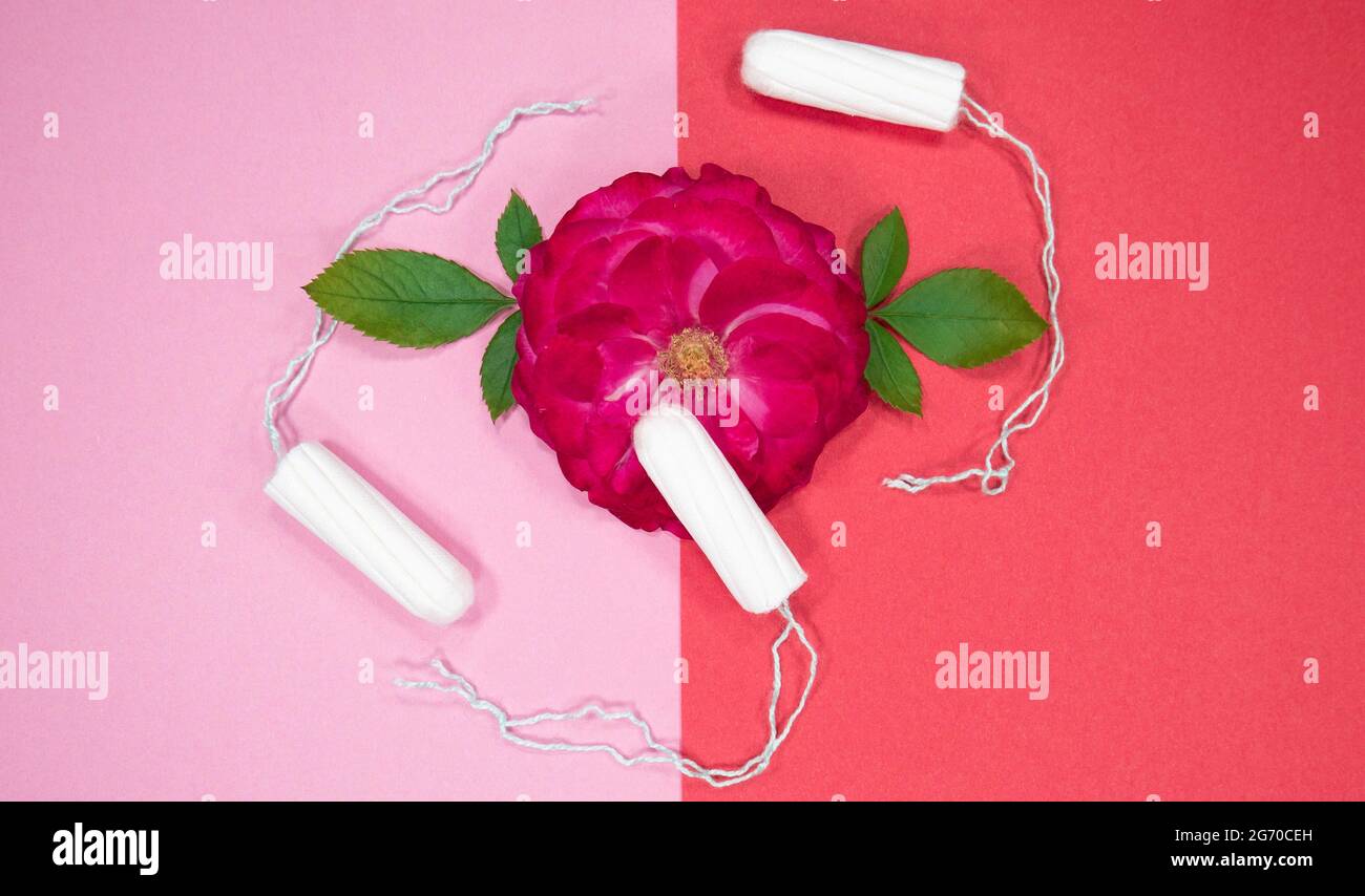 Women's Health, Hygiene. Concept Vagina symbol and menstruation. Red ...