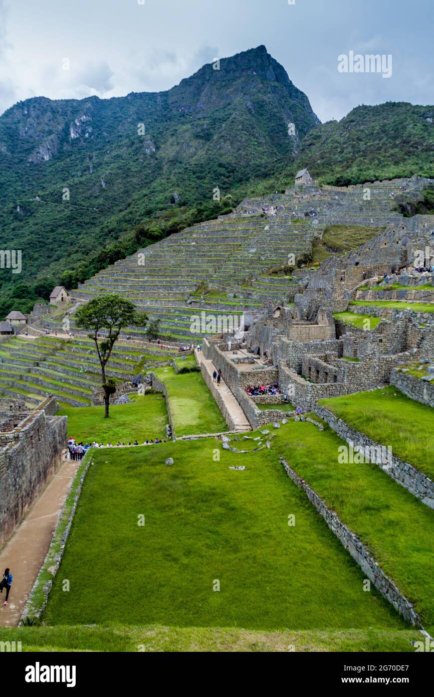 Inca's agricultural terraces at Machu Picchu, Peru Stock Photo - Alamy