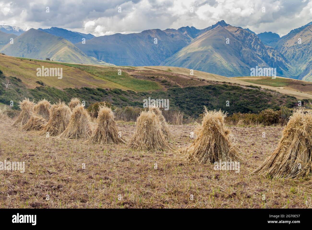Peru plantation hi-res stock photography and images - Alamy