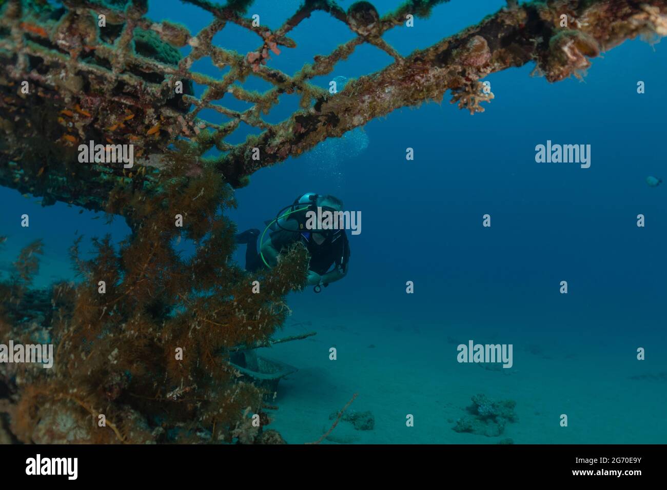 Sea pollution in metals and other garbage in the Red Sea Stock Photo ...