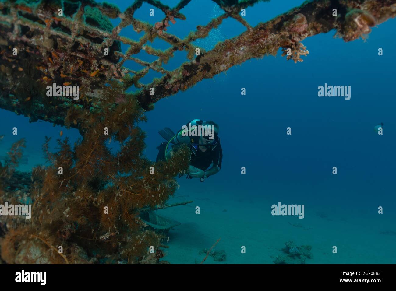 Sea pollution in metals and other garbage in the Red Sea Stock Photo ...
