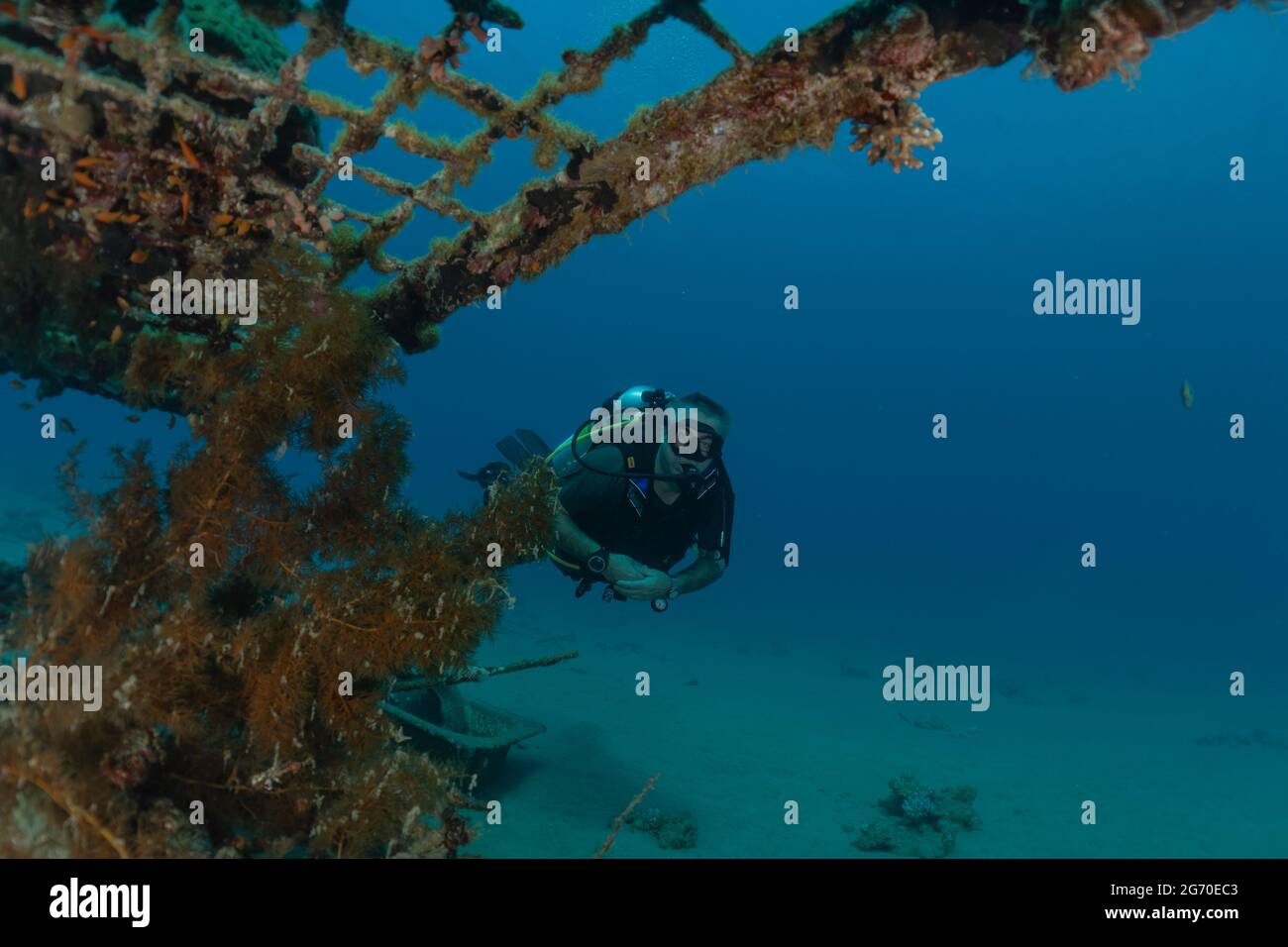 Sea pollution in metals and other garbage in the Red Sea Stock Photo ...