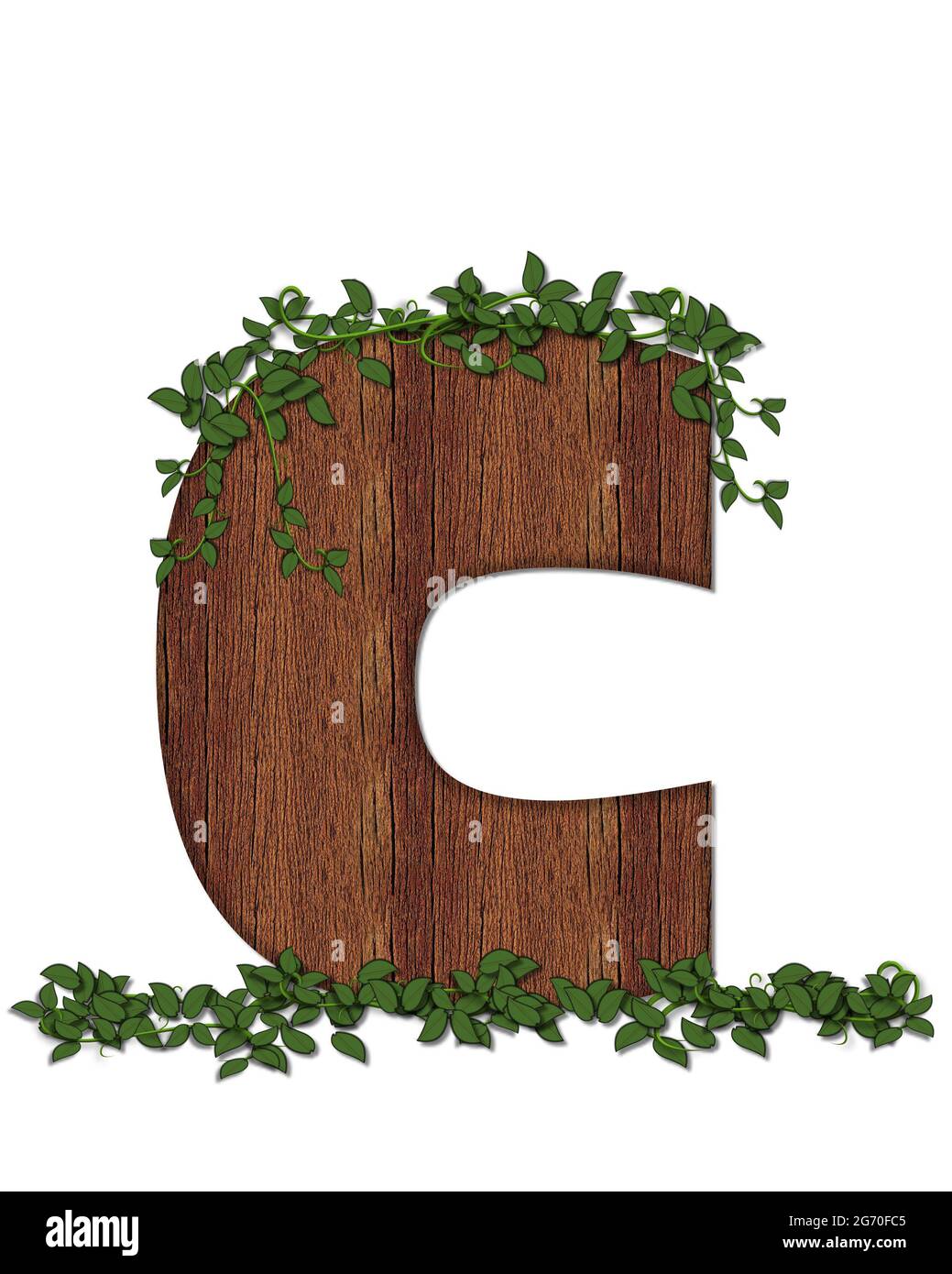 The letter C, in the alphabet set "Deep Woods" is filled with wod ...