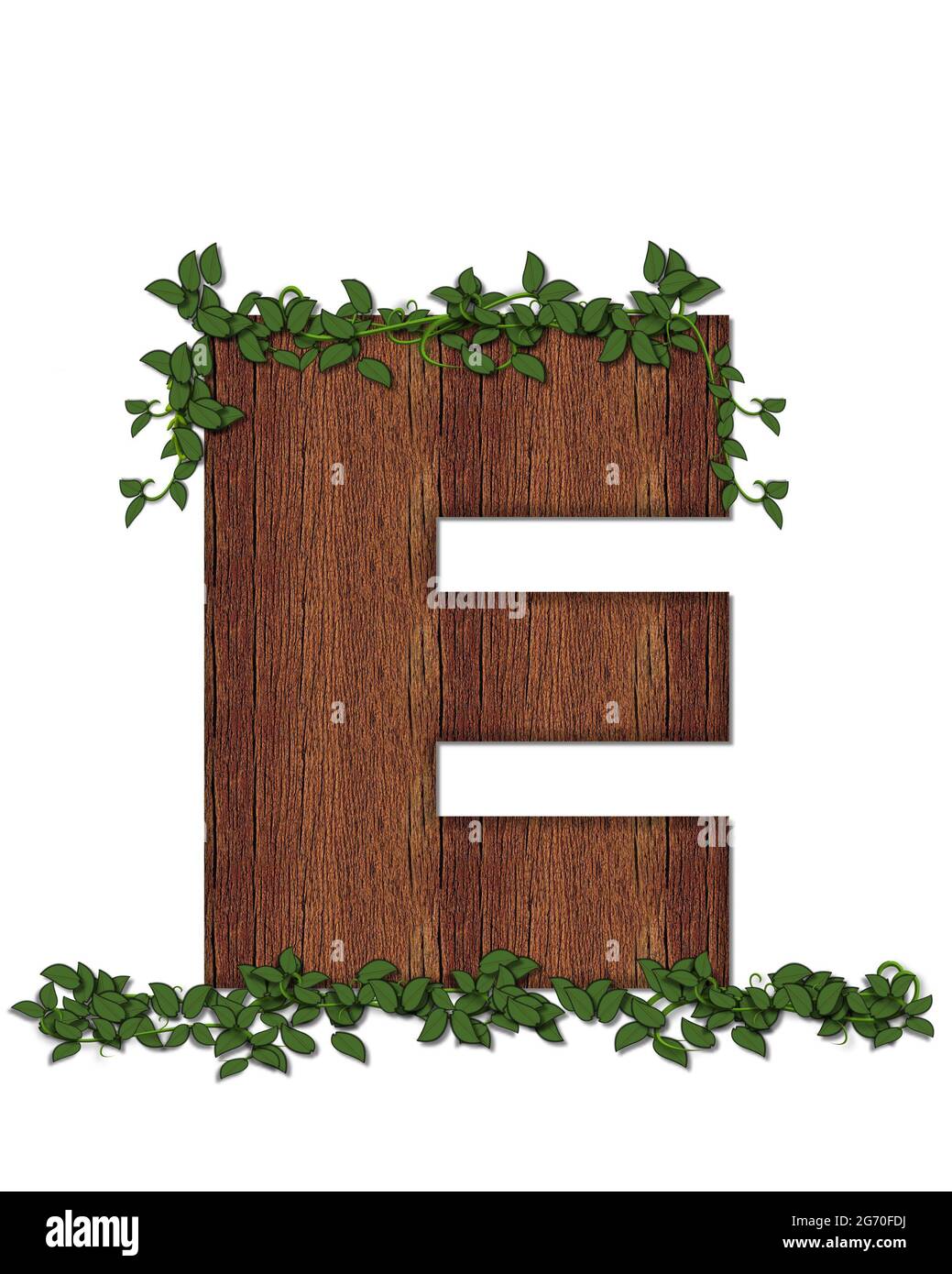 The letter E, in the alphabet set "Deep Woods" is filled with wod ...