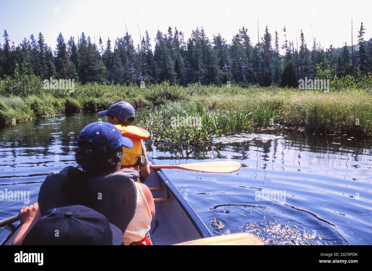 Family holiday: Mother and two children canoeing on the river from ...
