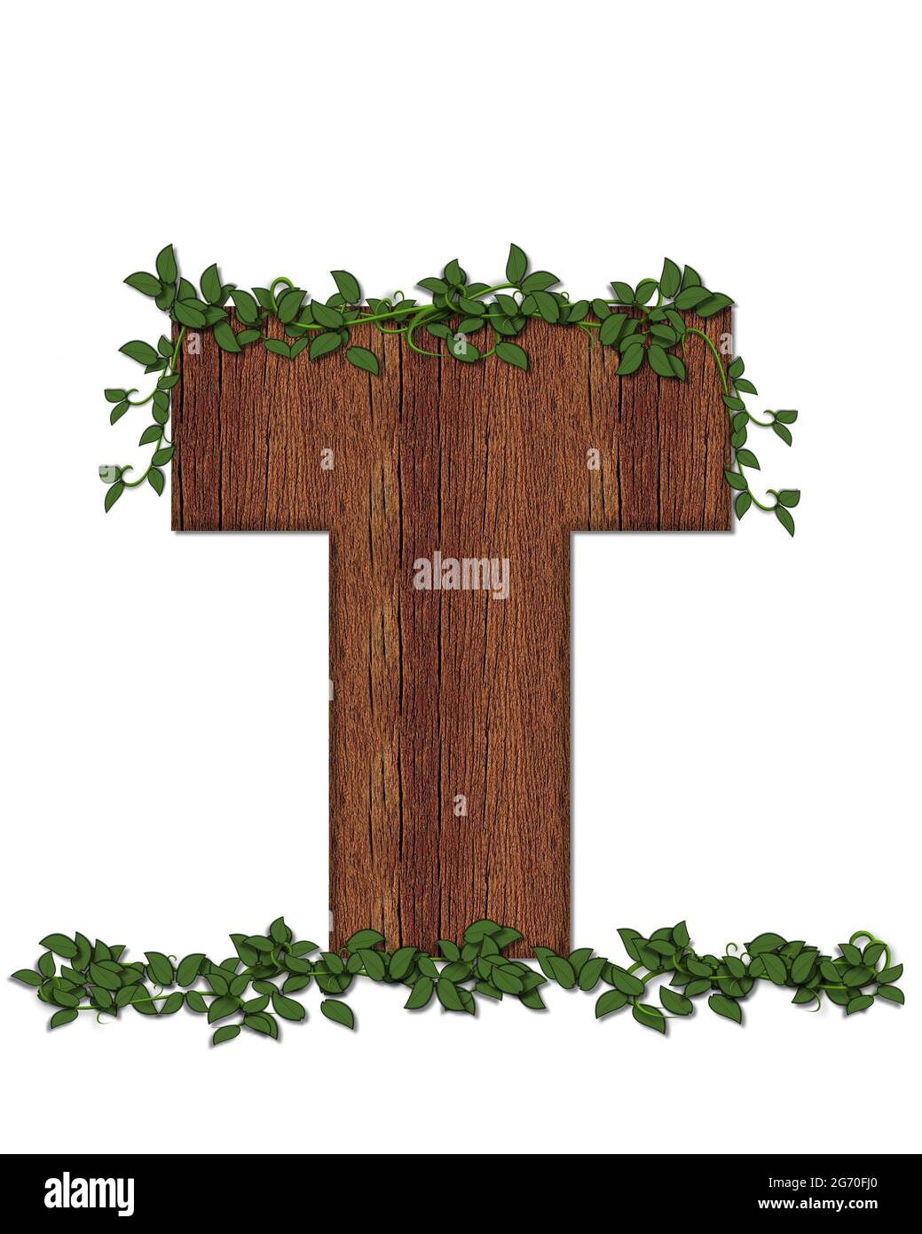 The letter T, in the alphabet set "Deep Woods" is filled with wod ...