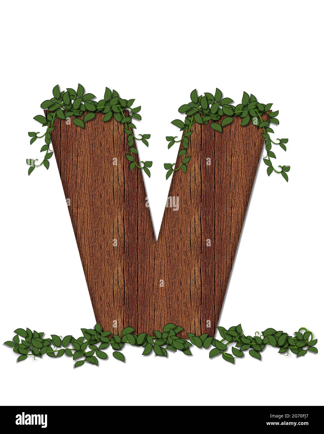 The letter V, in the alphabet set "Deep Woods" is filled with wod ...