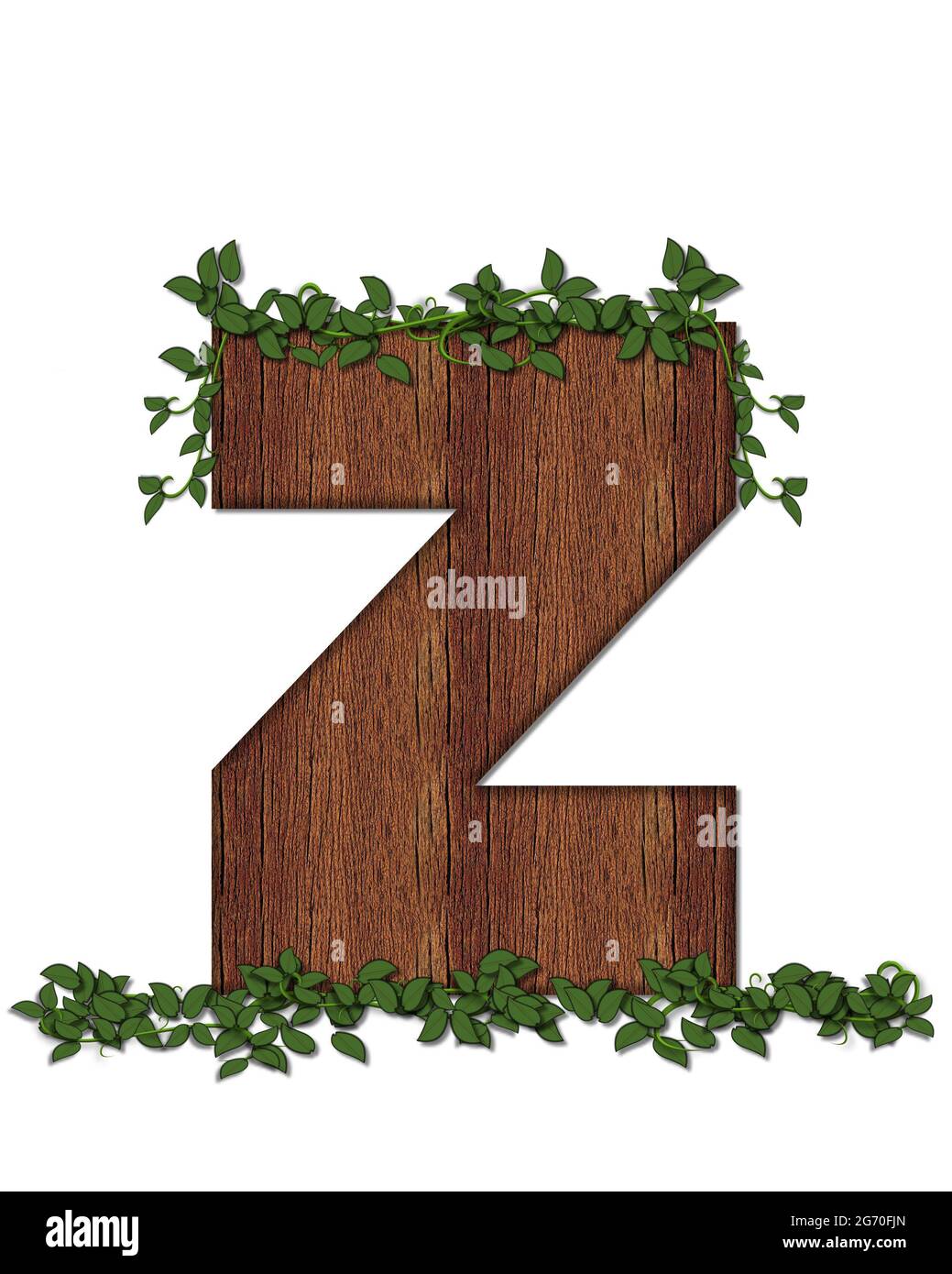The letter Z, in the alphabet set "Deep Woods" is filled with wod ...