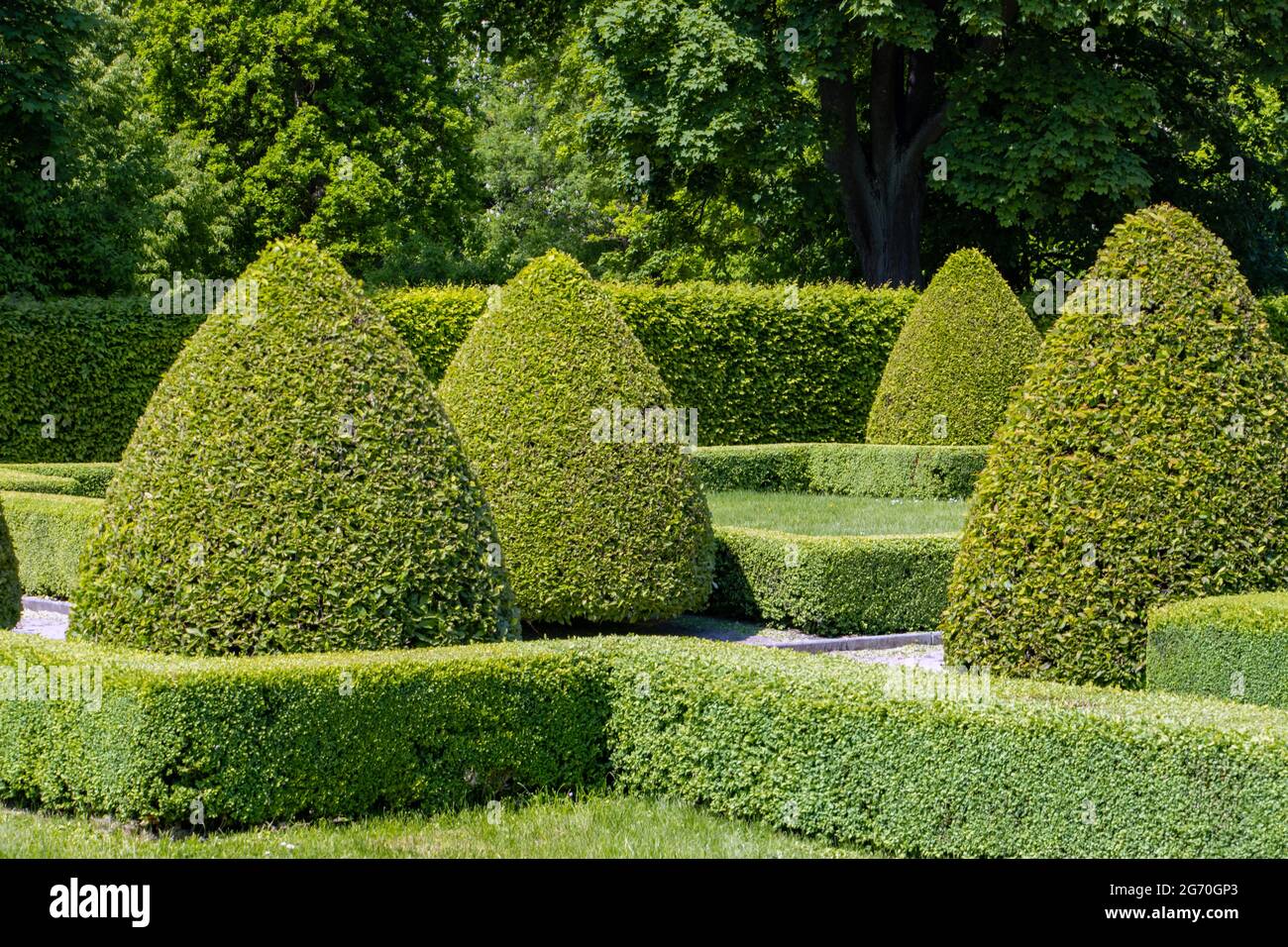Summer park with decoratively cut trees and hedges Stock Photo - Alamy
