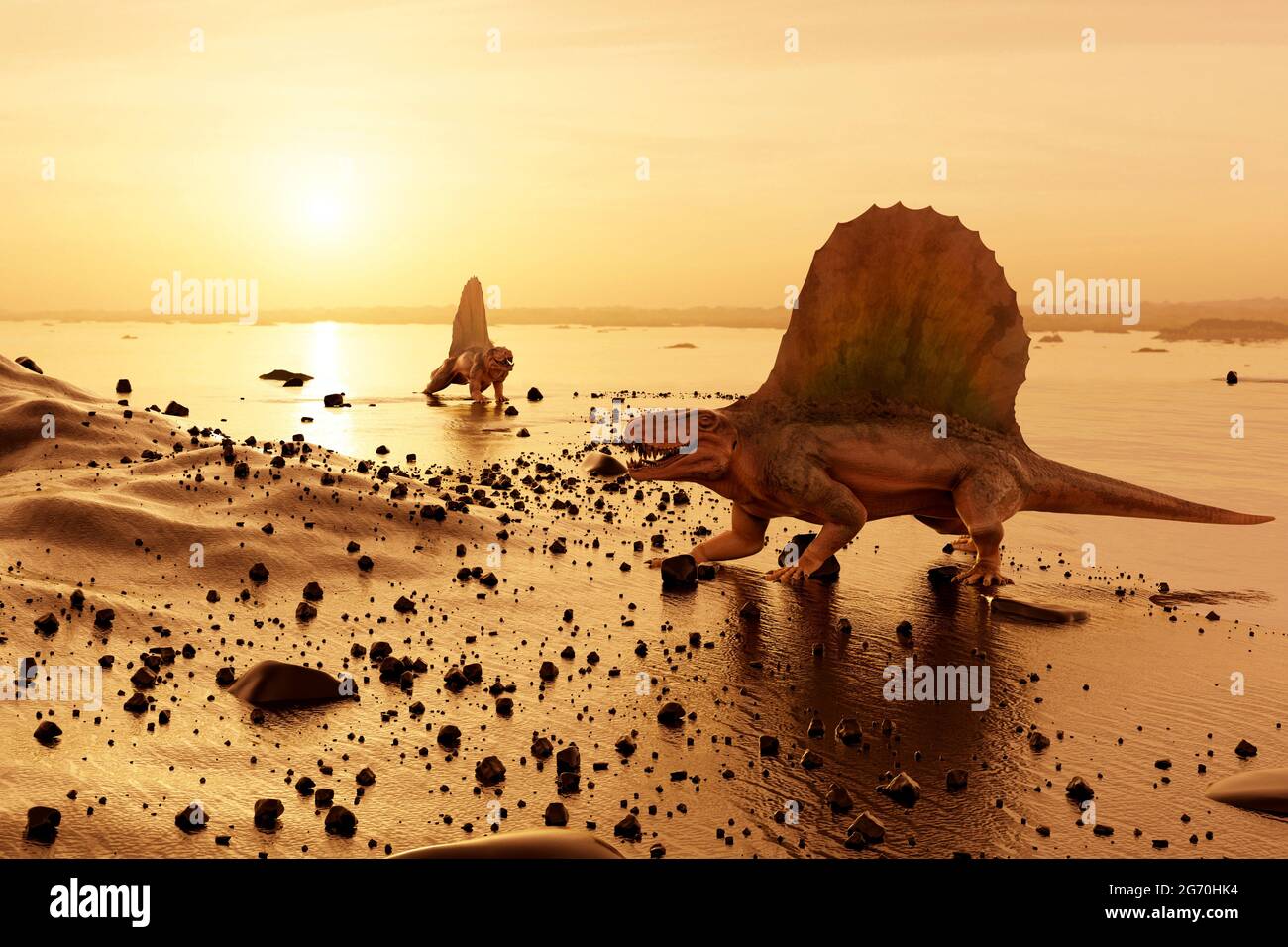 Artwork of the synapsid dimetrodon Stock Photo - Alamy