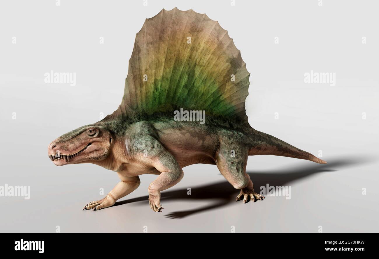 Artwork of the synapsid dimetrodon Stock Photo - Alamy