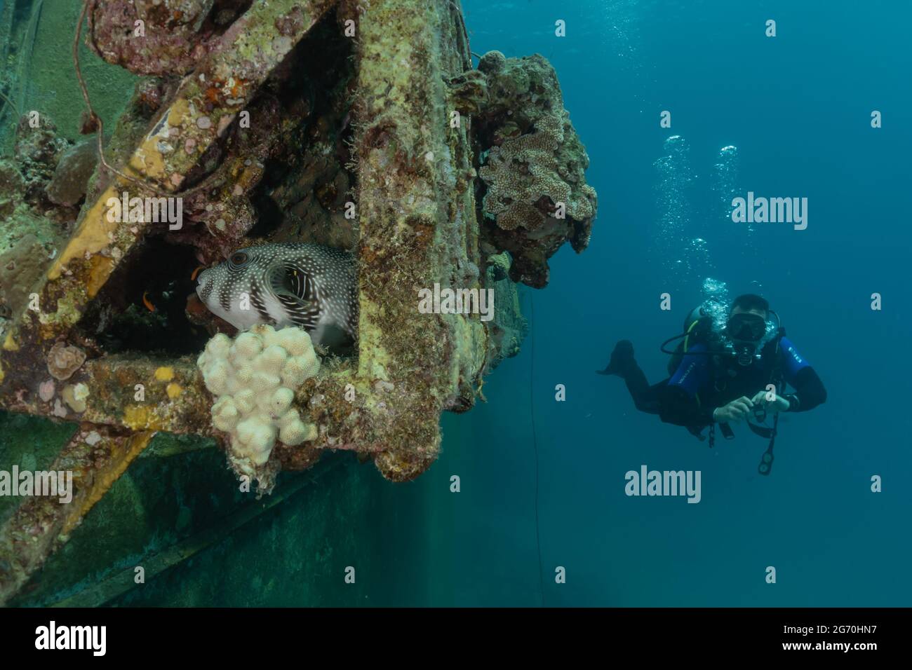 Sea pollution in metals and other garbage in the Red Sea Stock Photo ...