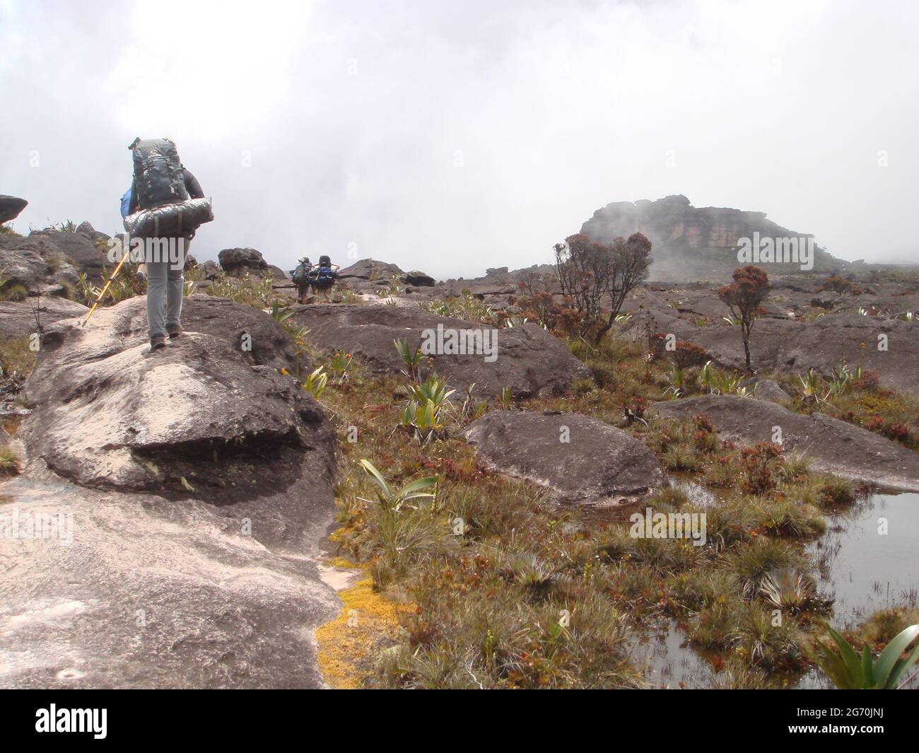 Trekker o mount Roraima in Southern America Stock Photo - Alamy