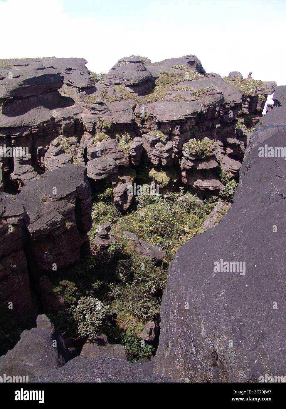Vertical view of the Roraima mount in South America Stock Photo - Alamy