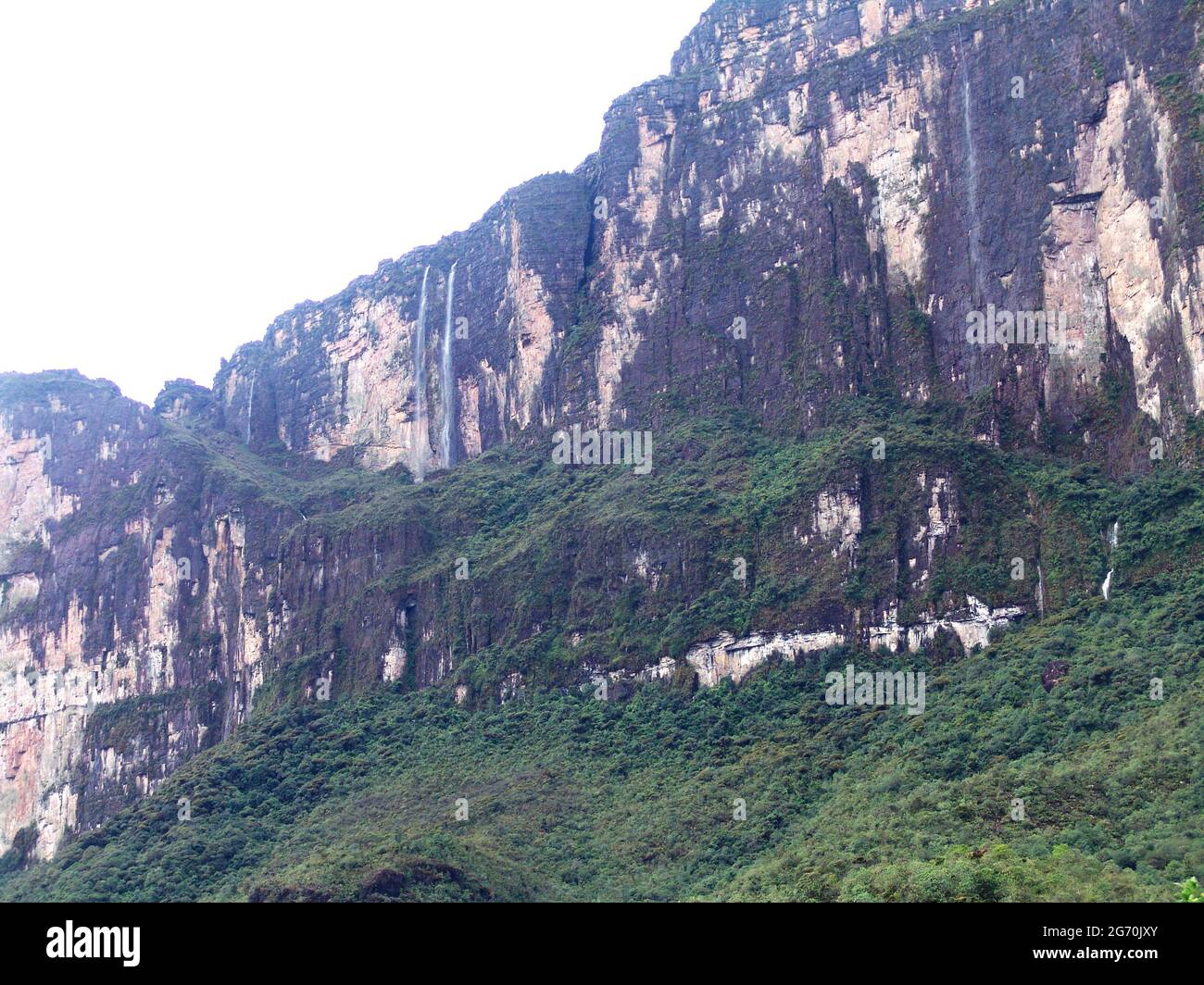 Beautiful view of the Roraima mount in South America Stock Photo - Alamy