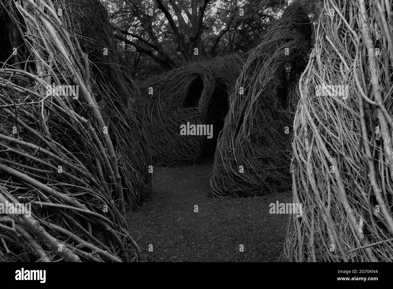 Black and white stick structures Stock Photo - Alamy