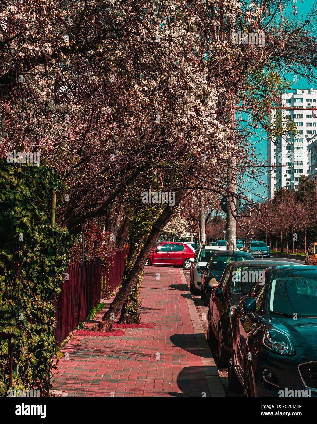 Bucharest city break hi-res stock photography and images - Alamy