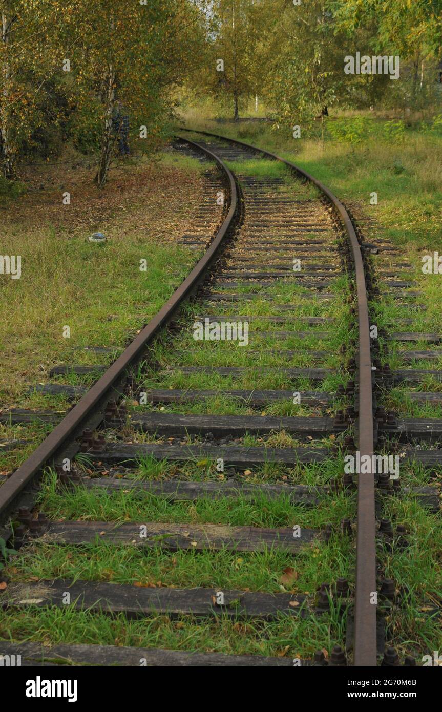 Wooden tracks of a train in a forest Stock Photo - Alamy