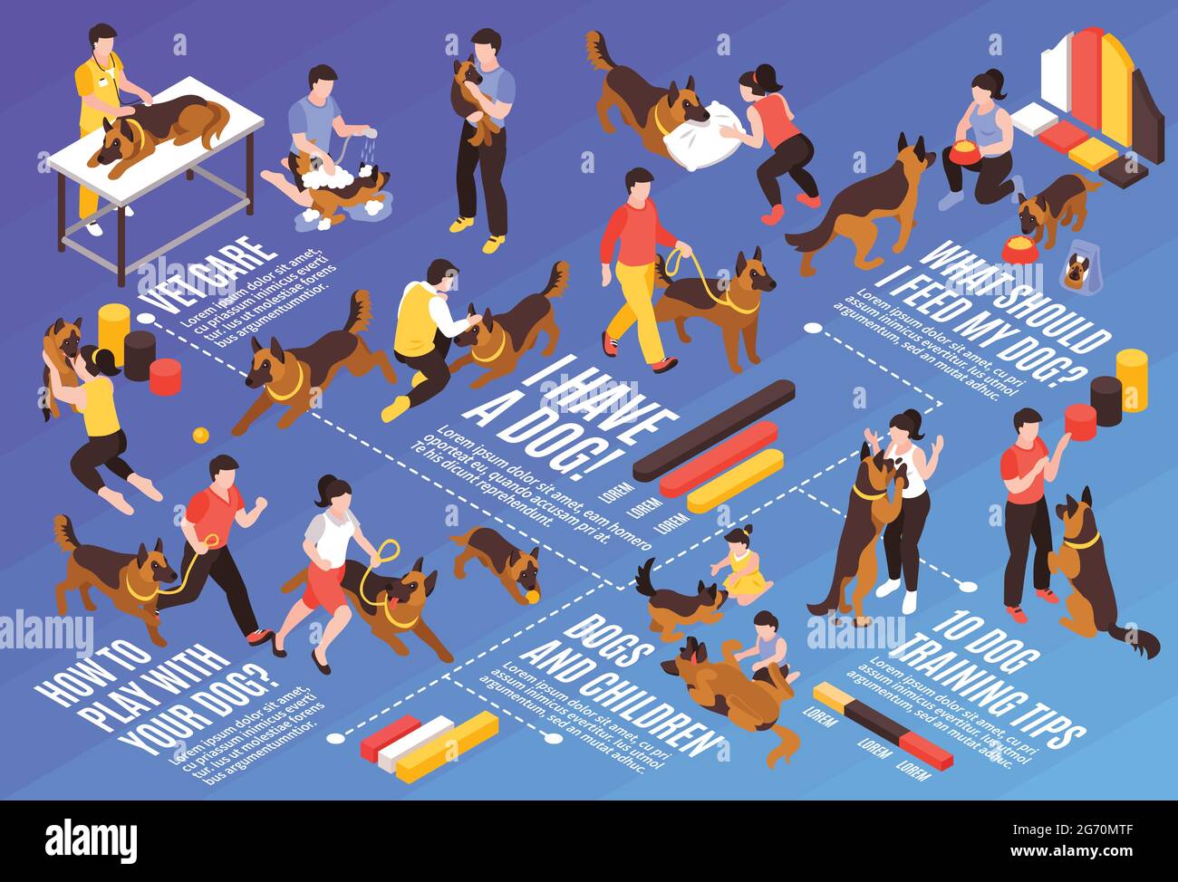 Isometric one day dog horizontal flowchart composition with images of ...
