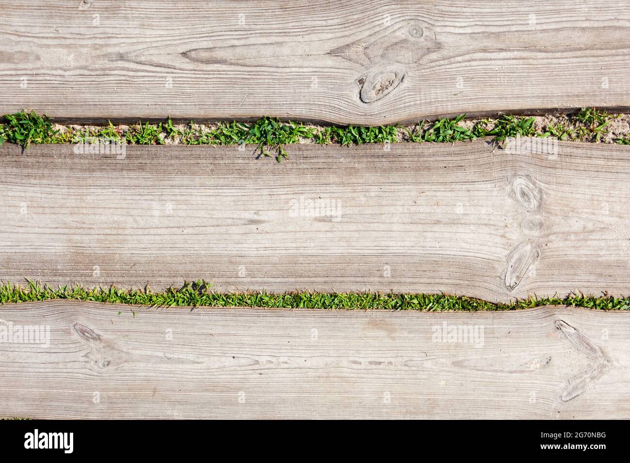 wooden boards on green grass, use as background or texture, place under ...