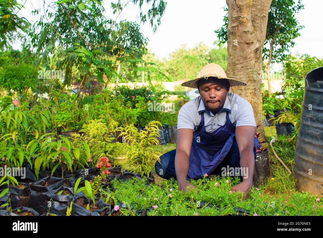 African male gardener, florist or horticulturist wearing an apron and a ...