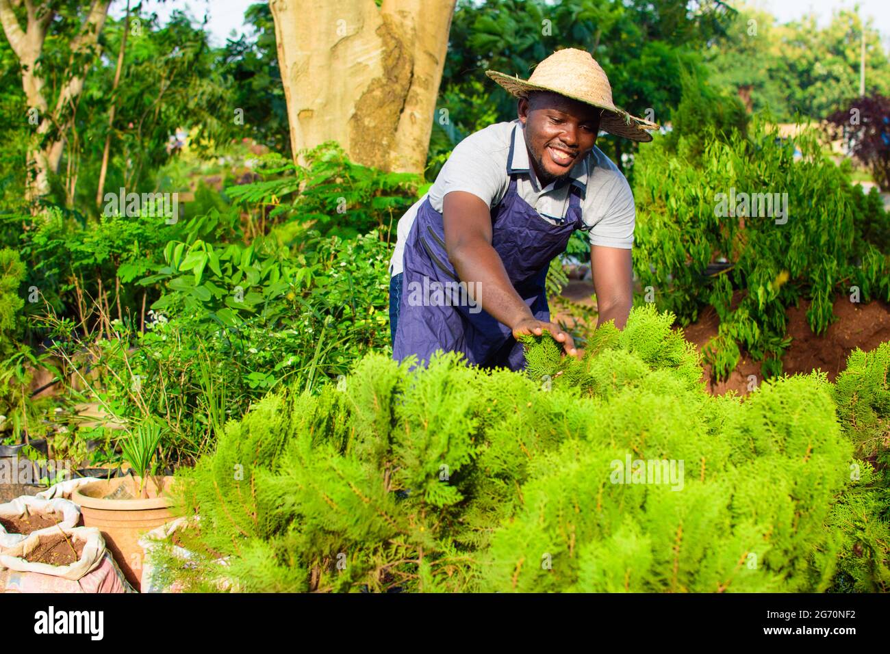 African male gardener, florist or horticulturist wearing an apron and a ...