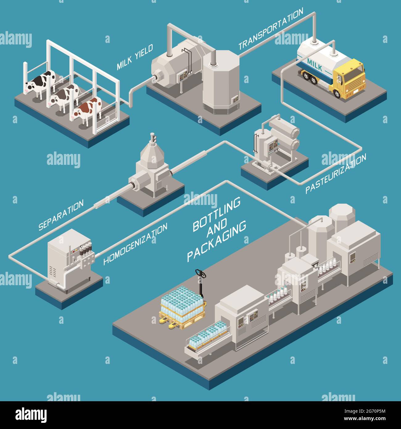 Milk production flowchart with bottling and packaging symbols isometric ...