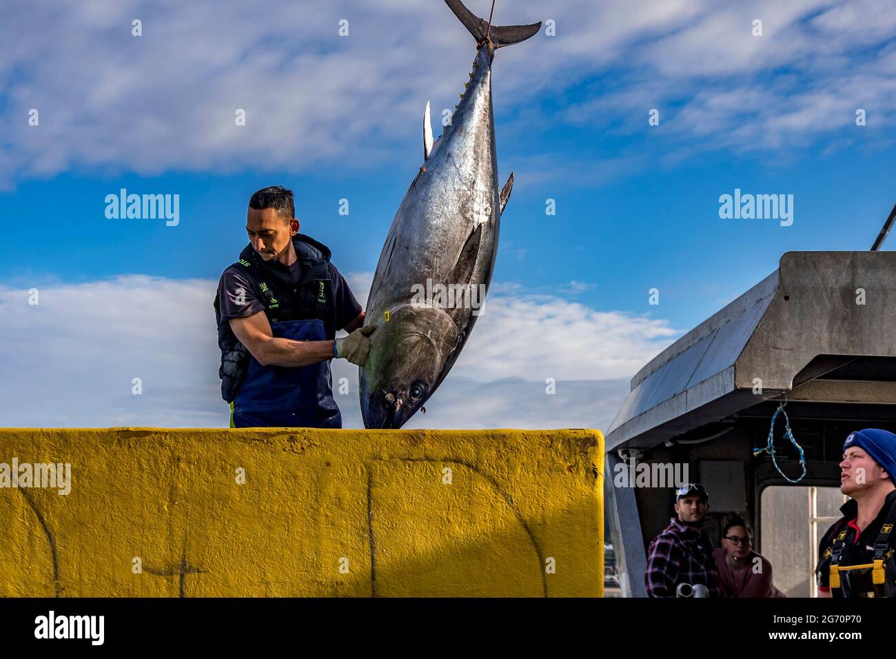 Tuna fishing in Bermagui, New South Wales, Australia Stock Photo - Alamy