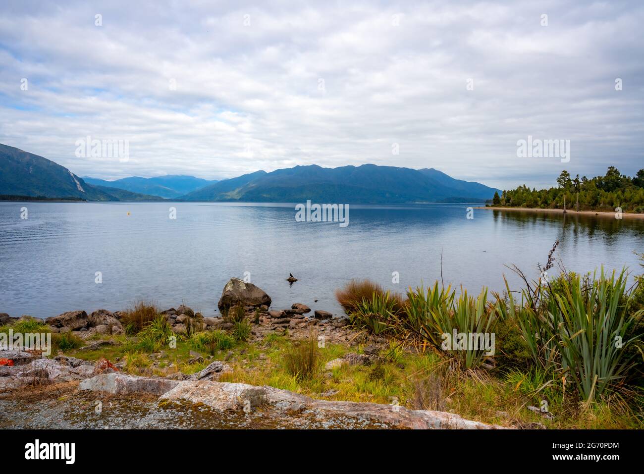 Lake Brunner New Zealand Stock Photo - Alamy