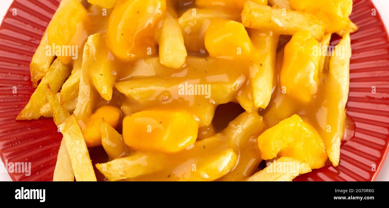 Poutine with Orange Cheddar Cheese with Brown Gravy on French Fries ...