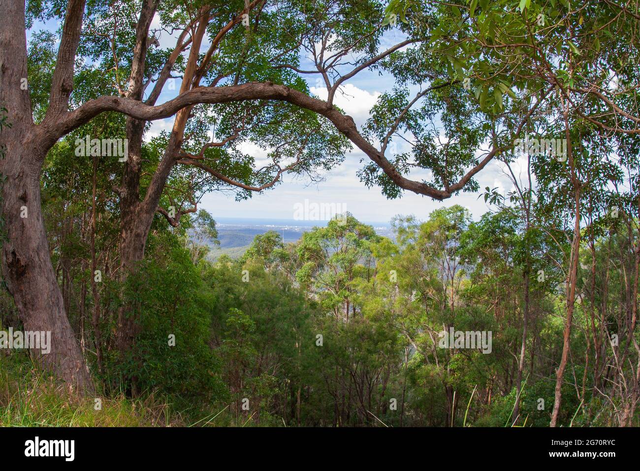 Lower beechmont hi-res stock photography and images - Alamy