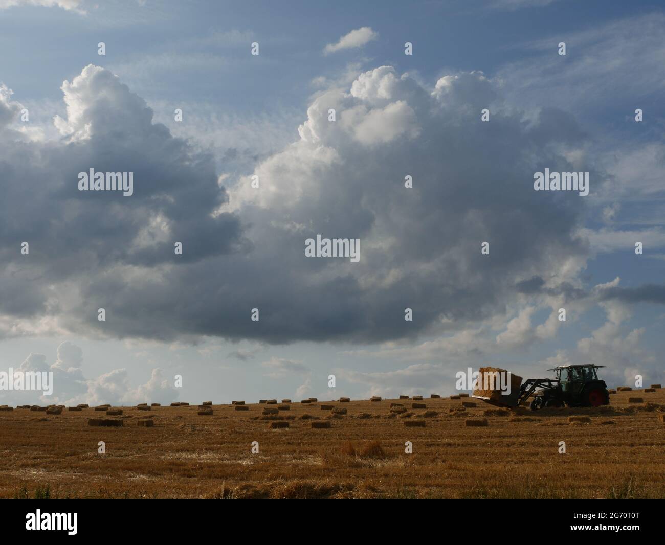 Tractor collecting hay bales in the field Stock Photo - Alamy