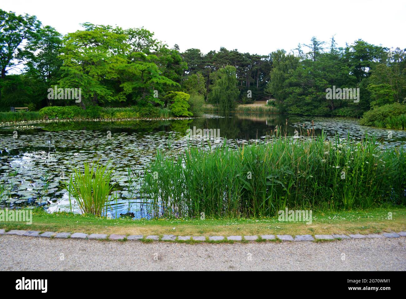 Copenhagen, Denmark - July 2021: Beautiful nature, trees and plants at ...