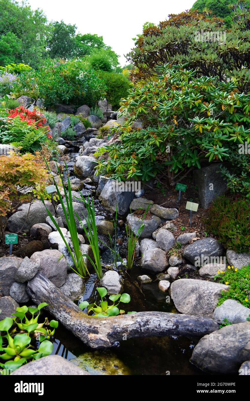 Copenhagen, Denmark - July 2021: Beautiful nature, trees and plants at ...