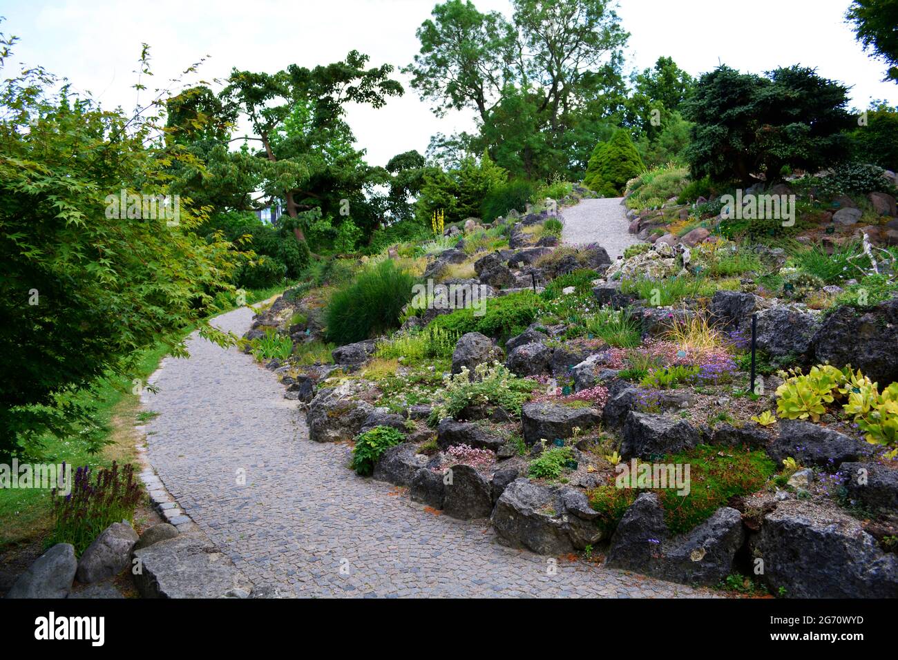 Copenhagen, Denmark - July 2021: Beautiful nature, trees and plants at ...