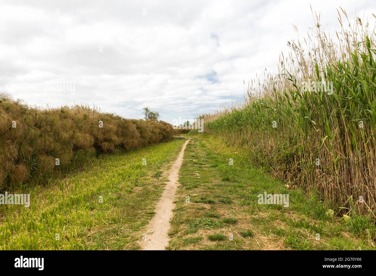 Awesome Green Sceneries of Natural Reserve of Ciane River (Riserva ...