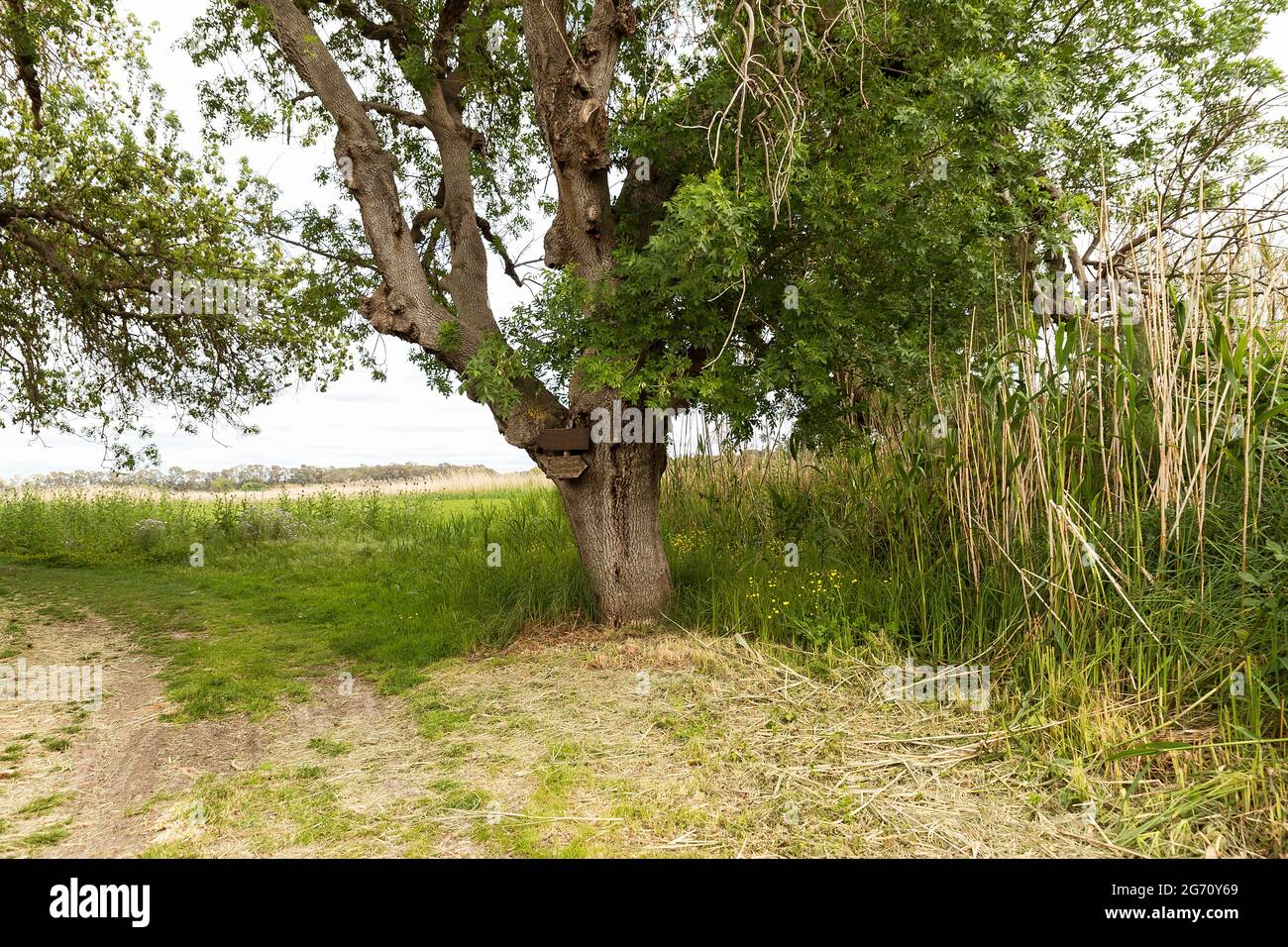 Awesome Green Sceneries of Natural Reserve of Ciane River (Riserva ...