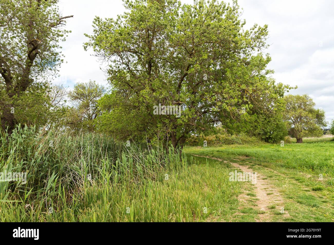 Awesome Green Sceneries of Natural Reserve of Ciane River (Riserva ...