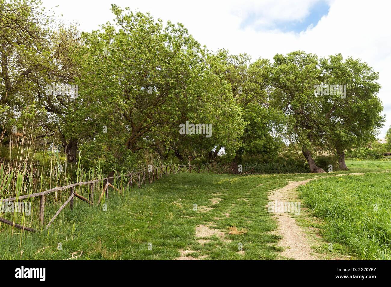 Awesome Green Sceneries of Natural Reserve of Ciane River (Riserva ...