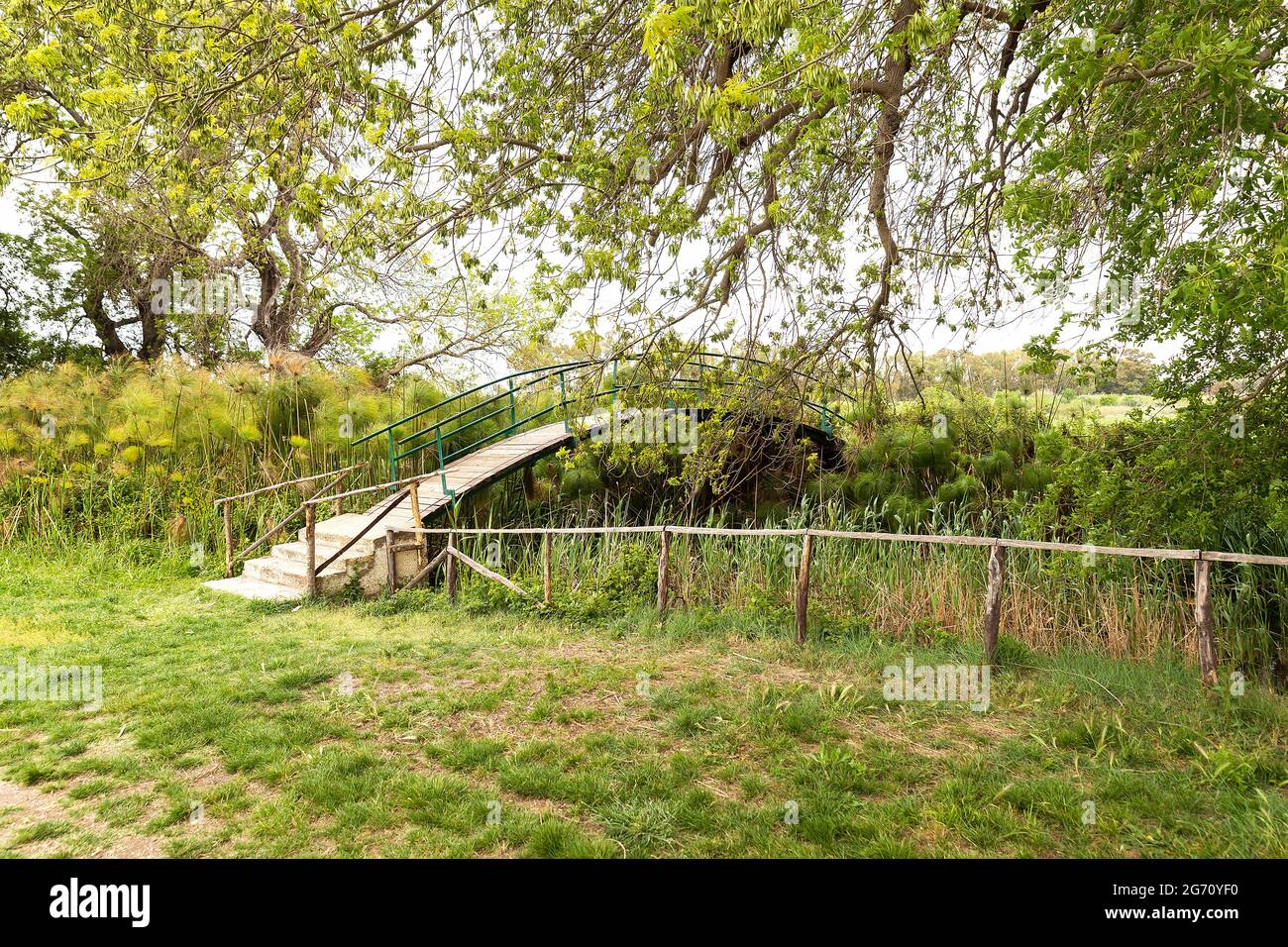 Awesome Green Sceneries of Natural Reserve of Ciane River (Riserva ...