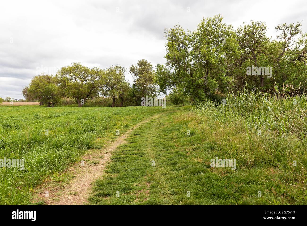 Awesome Green Sceneries of Natural Reserve of Ciane River (Riserva ...