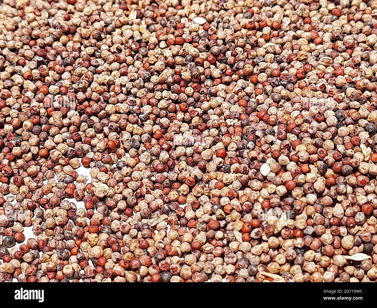 Pile of ragi under sunlight to dry Stock Photo - Alamy