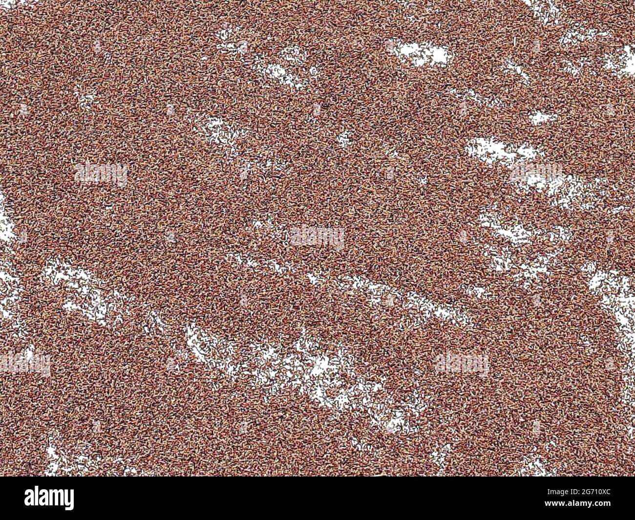 Ragi seed hi-res stock photography and images - Alamy