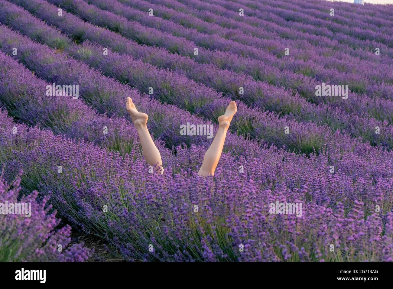 Selective focus. Slender ballerina girl legs in lavender bushes, warm ...