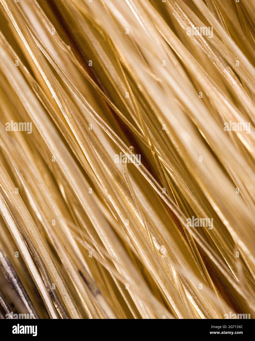 Close up paint brush bristles Stock Photo - Alamy